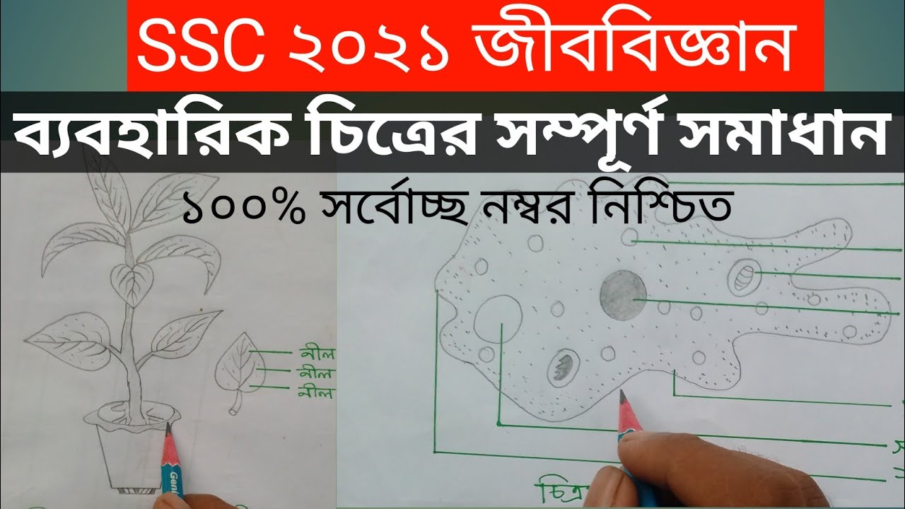 SSC 2021 Biology Practical | এসএসসি ২০২১ জীববিজ্ঞান ব্যবহারিক ...