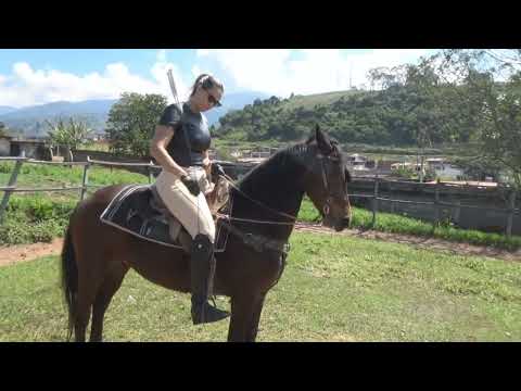 Hard Horse Riding #ponyriding #donkeyriding  #esel #reiten #sheepriding #goatriding