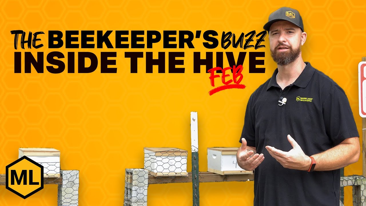 The Beekeeper's Buzz: Inside the Hive--Comparing 5 Hives! - YouTube
