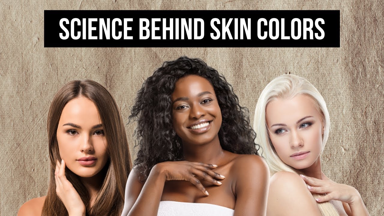 Why Do Humans Have Different Skin Colors? | SyncWin - YouTube