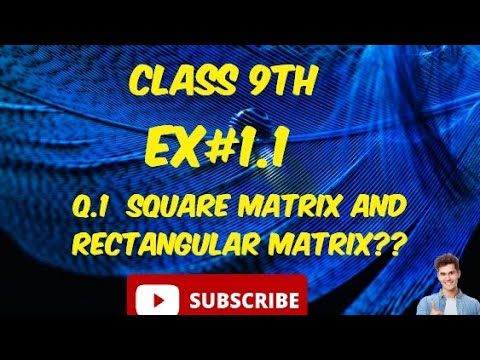 class #9thmaths ,exercise #1.1 ,Q.1 .. square matrix and rectangular ...