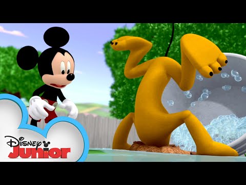 Bow-Wow Bath Time! 🛀 | Mickey Mouse Hot Diggity Dog Tales | Disney Junior