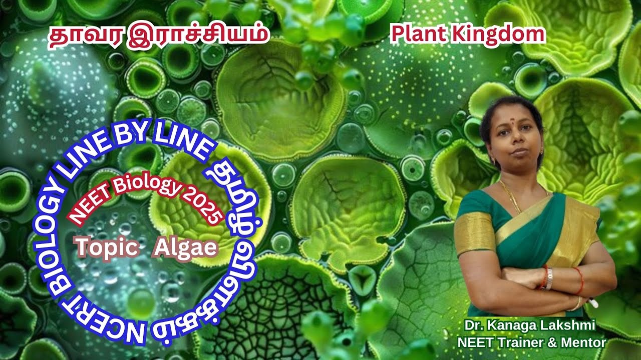 நீட் உயிரியல் தமிழில் விளக்கம் 2025 | Topic Algae - YouTube