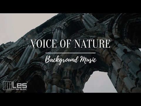Voice of Nature : Acoustic Guitar Folk Background Music