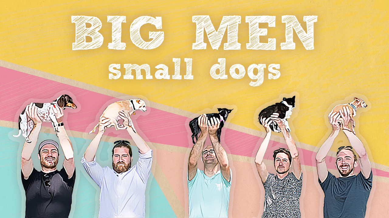 Five large men and the little dogs they love | Big Men, Small Dogs ...