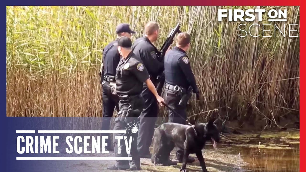 Firefighters in flames | First On Scene 11/20 | Crime Scene TV - YouTube