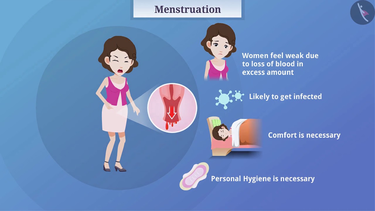Menstruation And Reproductive Health Part 1 1 English Class 10 menstruation-and-reproductive-health-part-1-1-english-class-10