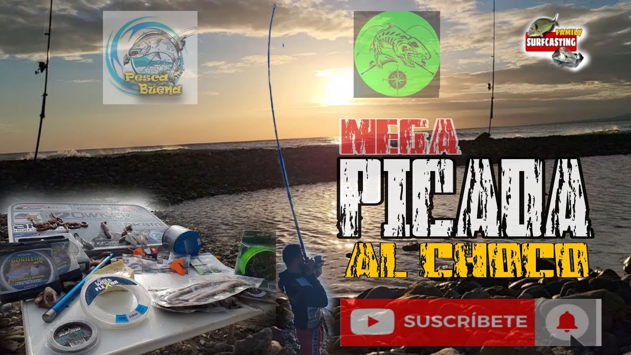 Vuelve a verse el bicho gordo. - YouTube