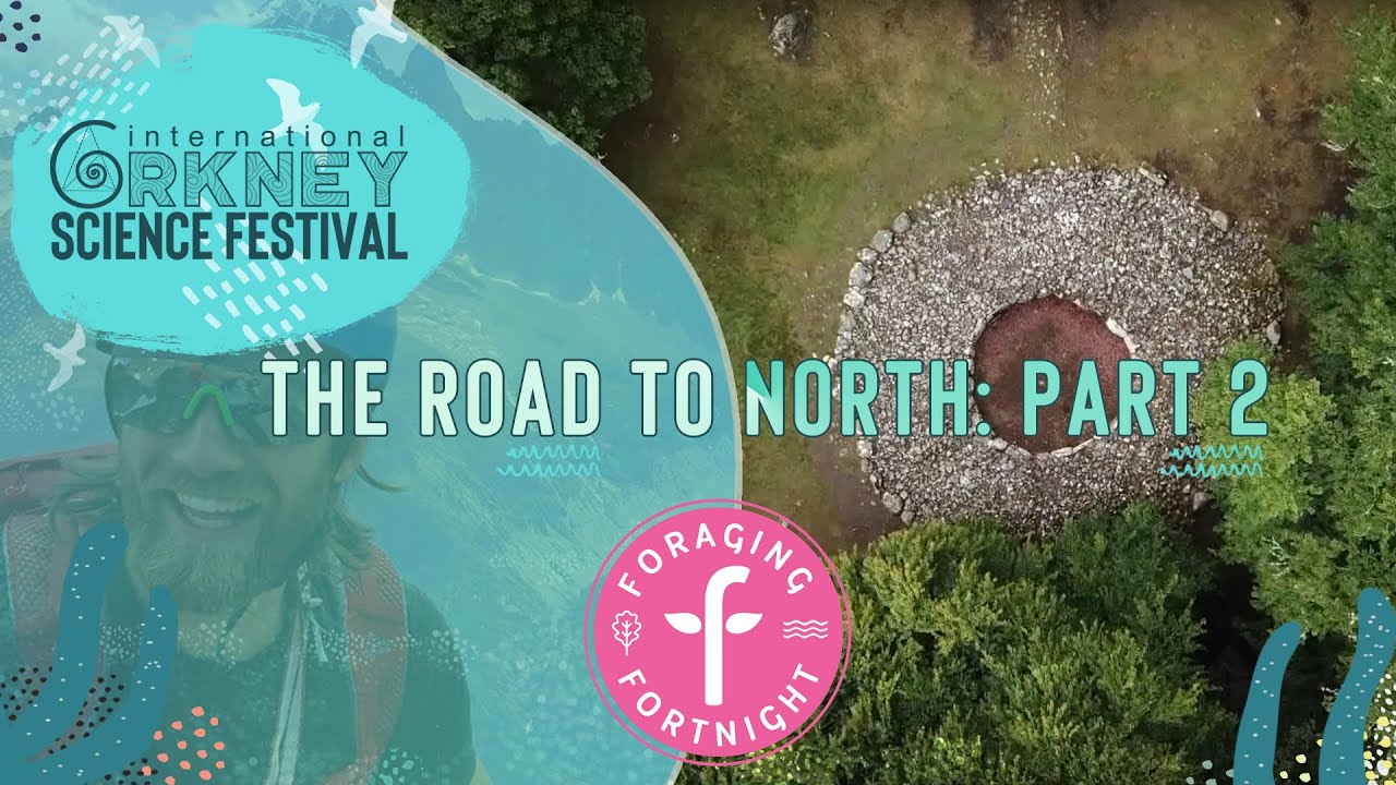 THE ROAD TO THE NORTH Part 2 - YouTube