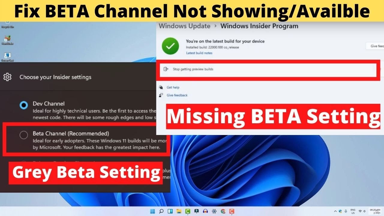 Windows 11 - 3 Ways To Fix BETA Channel Not Showing & Working (Missing ...
