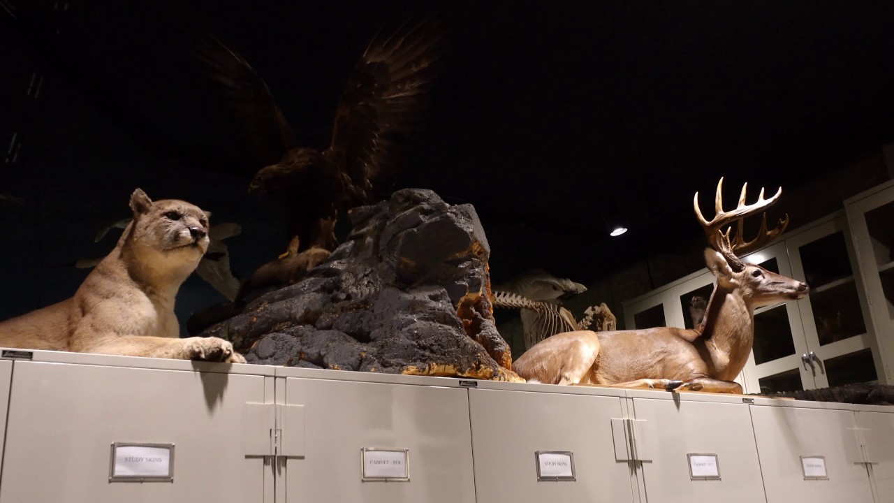 Visit to Atlanta Planetarium - YouTube