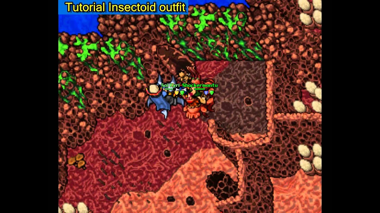 Tibia tutorial: Como sacar tu Insectoid Outfit...War Against the Hive ...