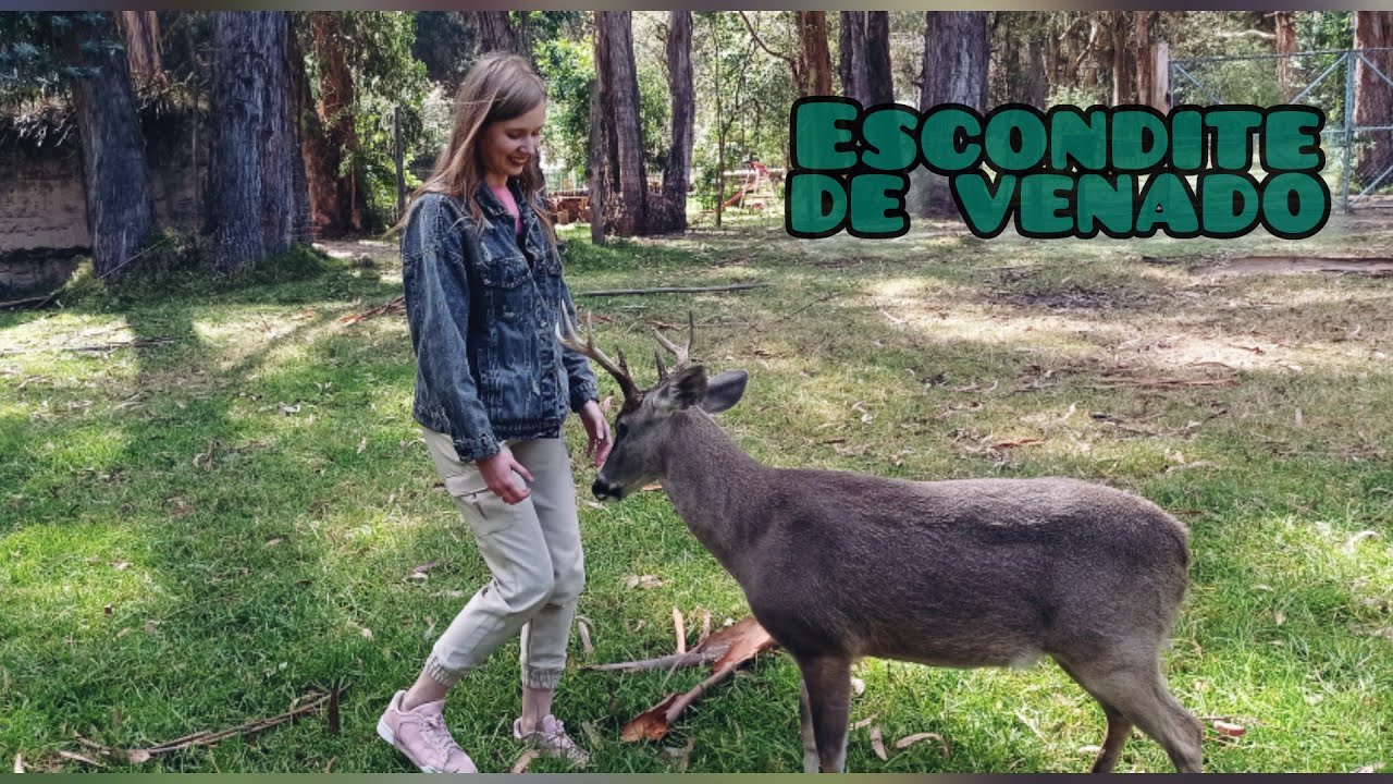 Visité un maravilloso lugar en Guachala Ecuador! - YouTube