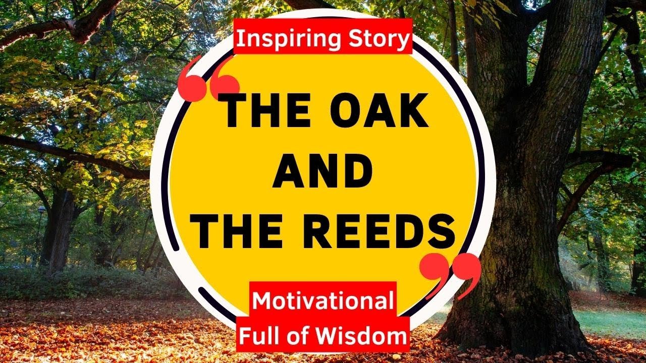 Inspiring Story about The Oak and the Reeds - YouTube