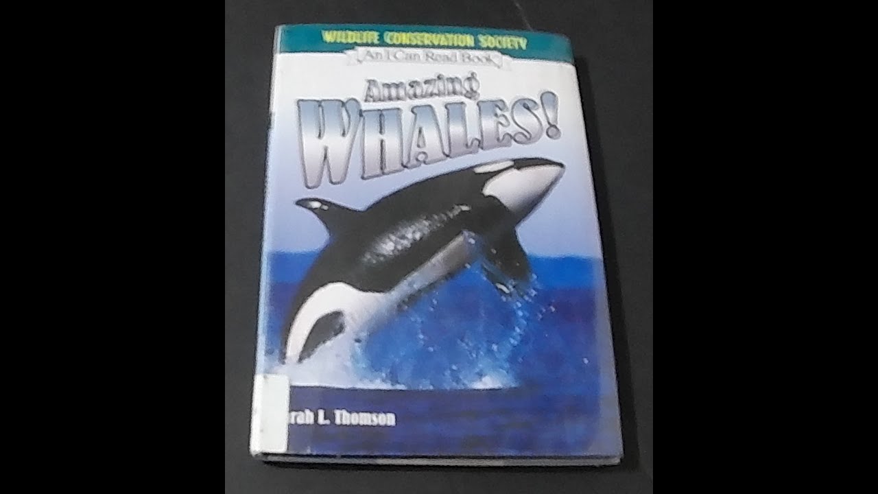 Amazing Whales - YouTube