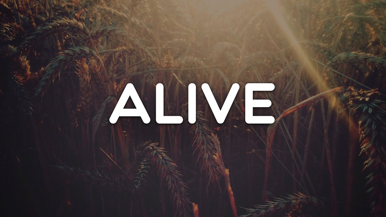 Dabin & RUNN - Alive (Letra/Lyrics) | Official Music Video - YouTube