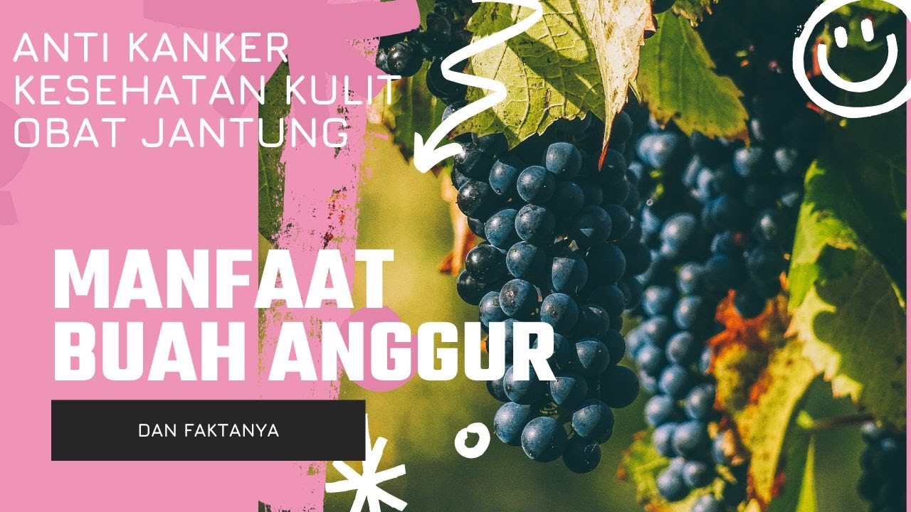 Anti Kanker, Kecerahan Kulit, Obat Jantung | Manfaat Buah Anggur Untuk ...