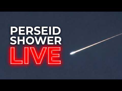 LIVE: Perseid Meteor Shower (4k) | Shooting Stars the Night before the Peak