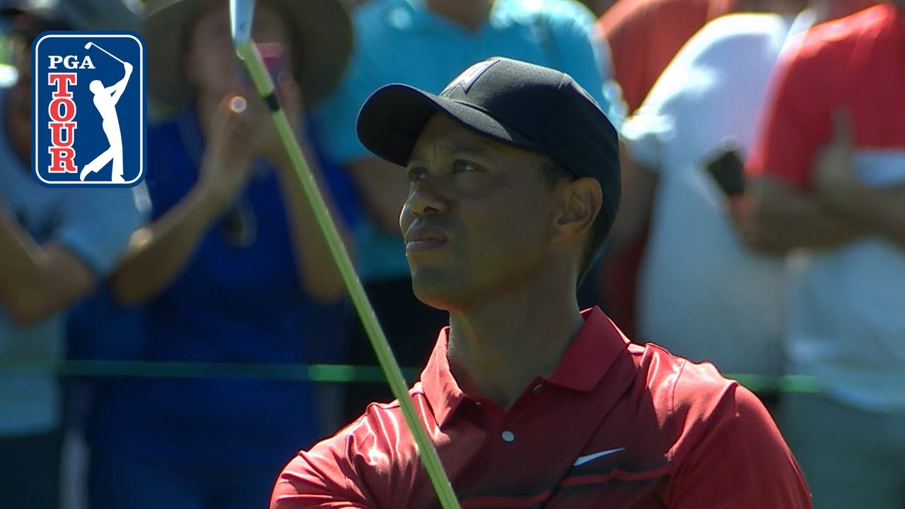 Tiger Woods hits goose with drive and makes birdie - YouTube