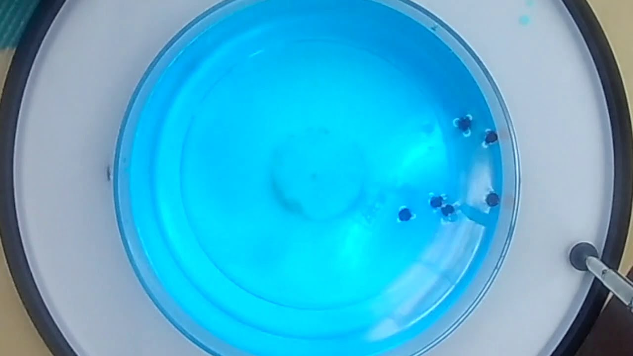 Fronts tank experiment (rotating reference frame) - YouTube