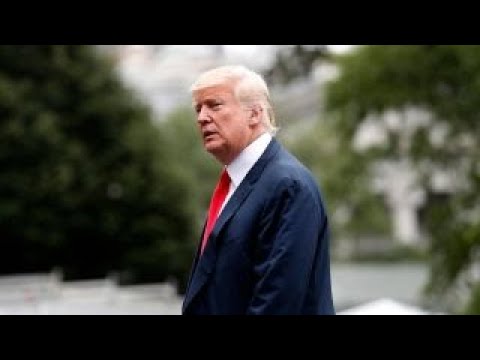 Trump, McConnell need each other to pass legislation, says Rep. Zeldin