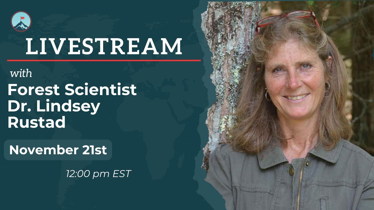 Understanding and Healing Forests with Dr. Lindsey Rustad - YouTube
