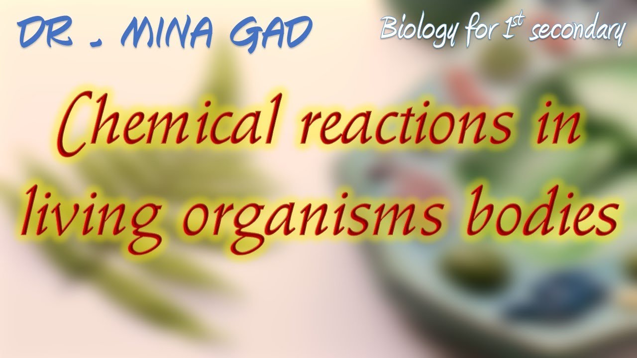 Chemical reactions in living organisms bodies - Biology for 1st ...