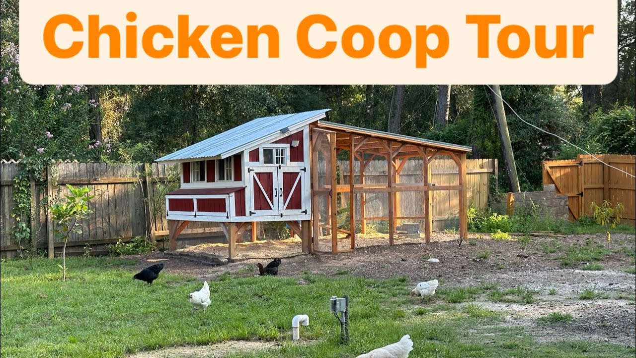 Chicken Coop Tour - YouTube