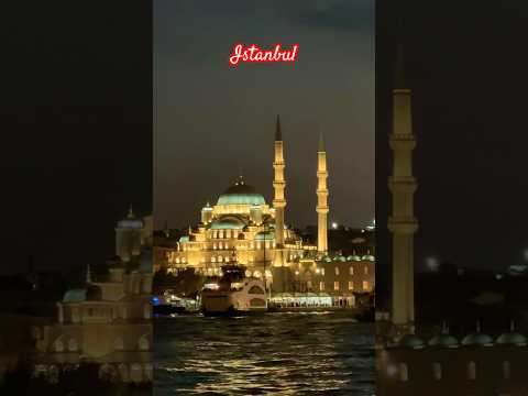 Istanbul nights 😍#2024 #travel #istanbulin4k #visitistanbul #shortvideo #nightlife #istanbultravel