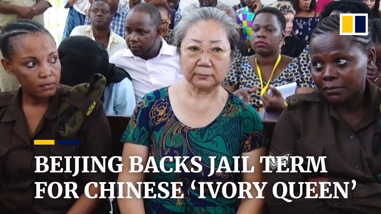 Beijing backs 15-year jail term for Chinese ‘Ivory Queen’ - YouTube