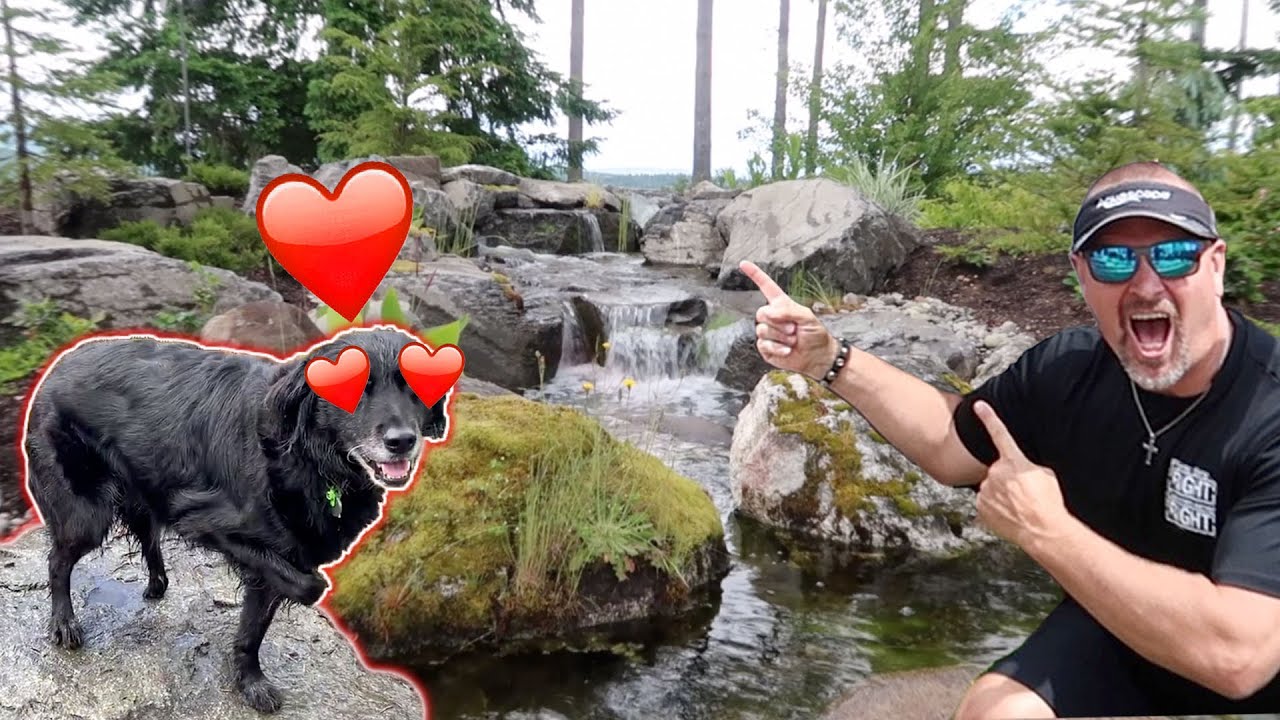 TWO-LEGGED DOG ENJOYS *MASSIVE WATERFALLS* - YouTube