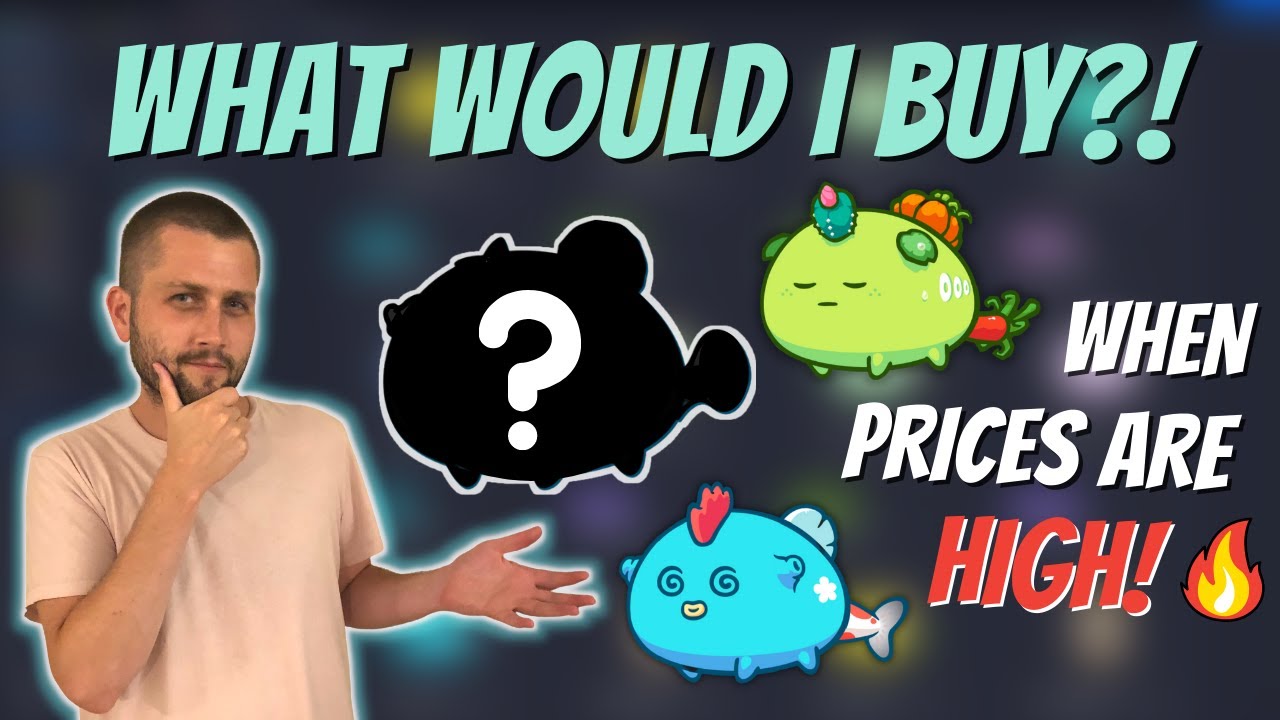 BEST AXIE INFINITY TEAM FOR $1500! | TOP META - YouTube