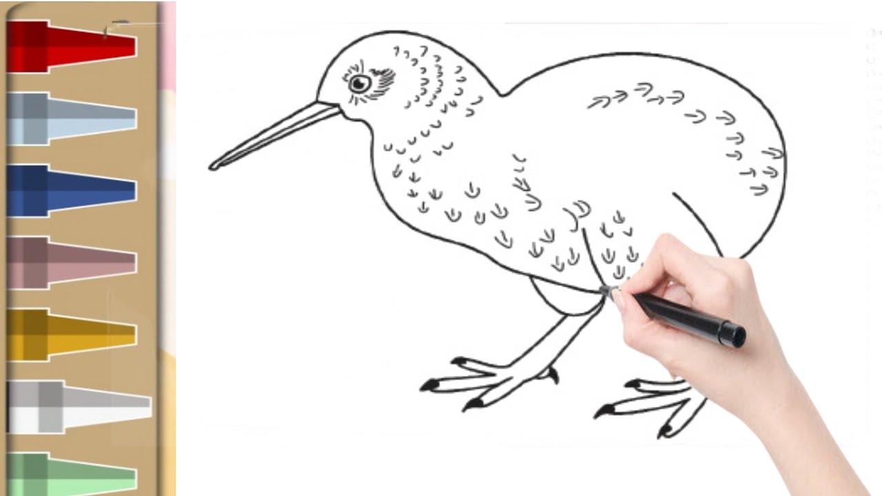how to draw a kiwi bird for kids step by step|drawing of kiwi bird easy tutorial - YouTube