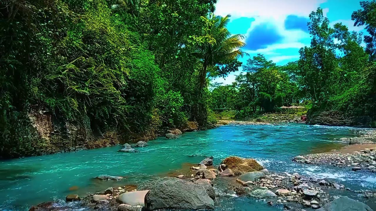 Nature's Melodic Retreat Soft River Flow and Soothing Harp Melodies - YouTube