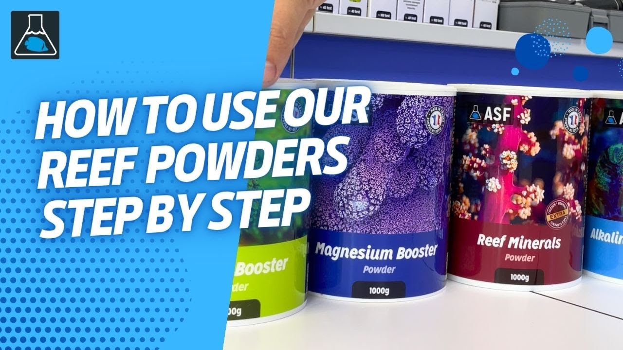 How to use our Reef Powders step by step - YouTube