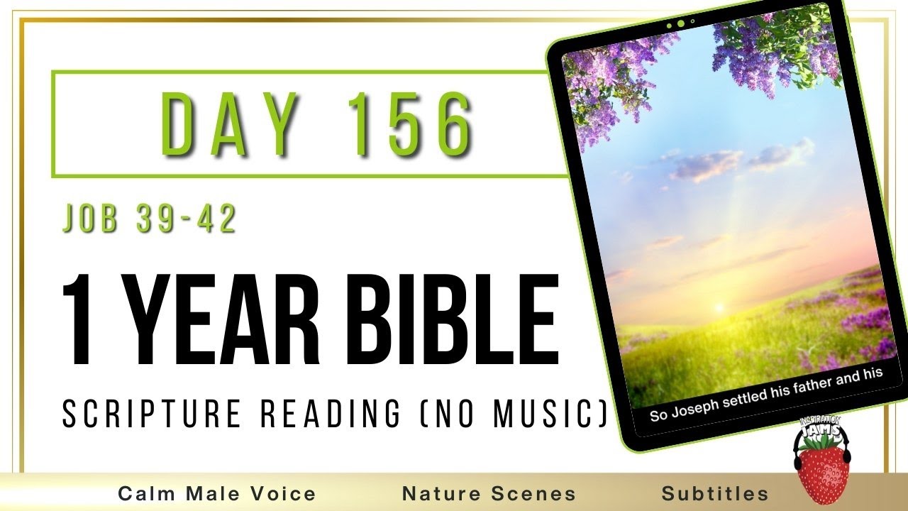 One Year Bible | Day 156 | Job 39 - 42 | Audio Bible | NIV - YouTube