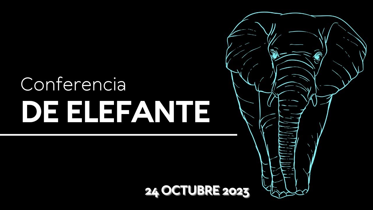 Elefante: La historia detrás de sus éxitos. La banda que revolucionó el ...