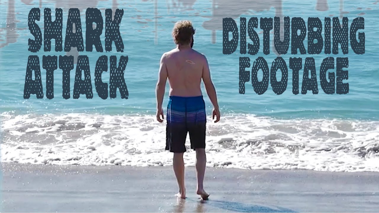 Shark Attack - Caught on Camera - YouTube