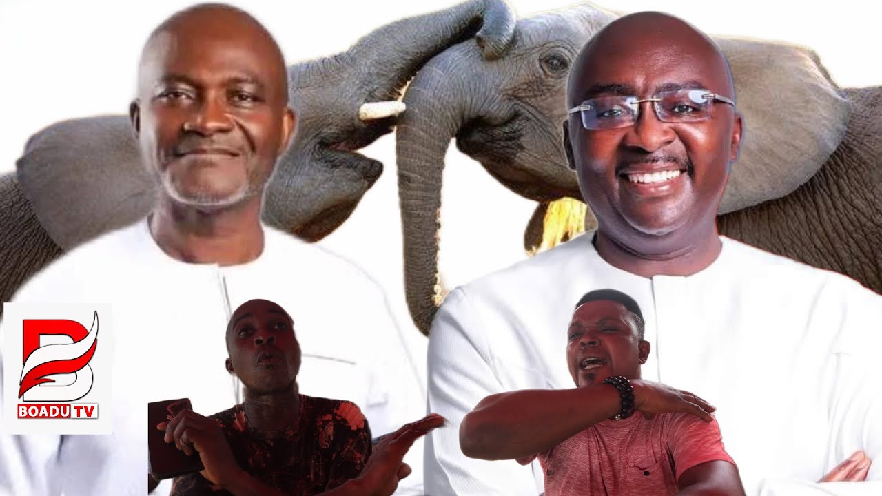 No Ken no vote!! NPP supporters blast delegates for voting for Bawumia ...
