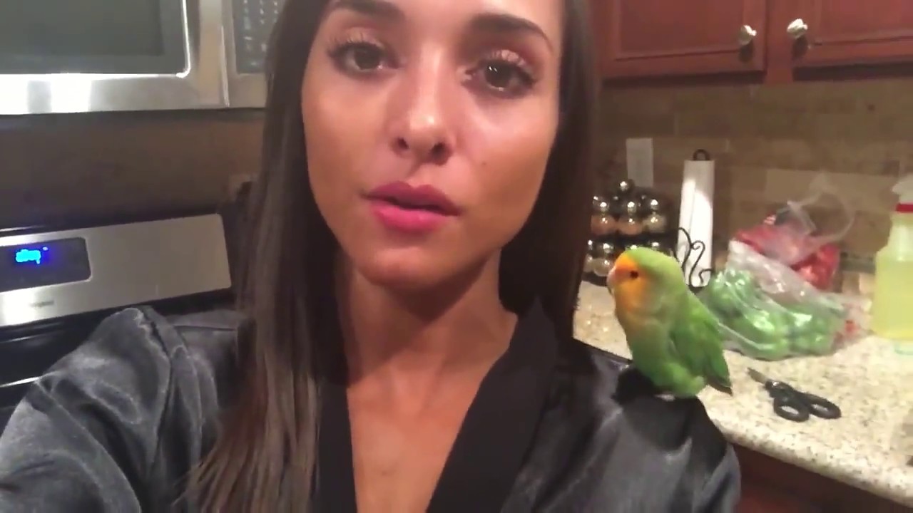 Vanessa Serros Transformation - Bodybuilder, Fitness Competitor ...