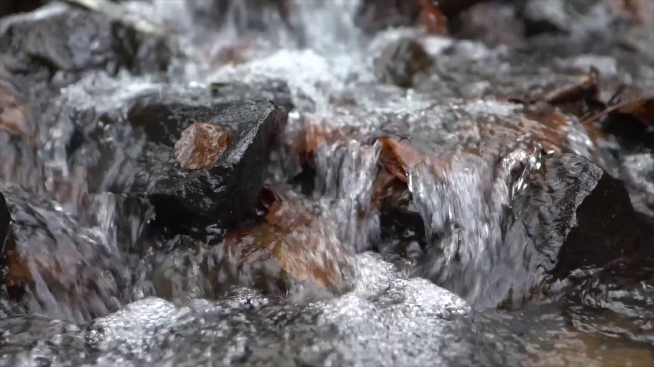 Flowing River Water and Sound | 4K Relaxing Background - YouTube