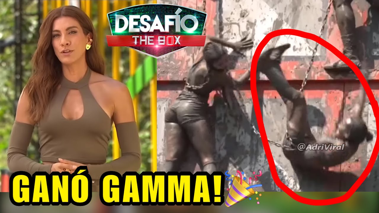Desafío The Box 2023 CAPÍTULO 11 ¡GANA EQUIPO GAMMA! Mire Lo que ...