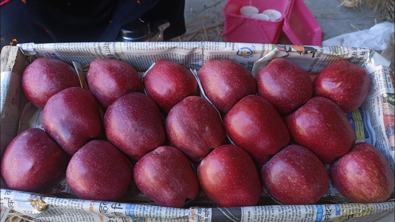 Apple town shopian - The Most Beautiful tourist places | #kashmirvalley ...