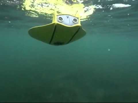 Underwater Video RC Submarine My Flying Sub - YouTube