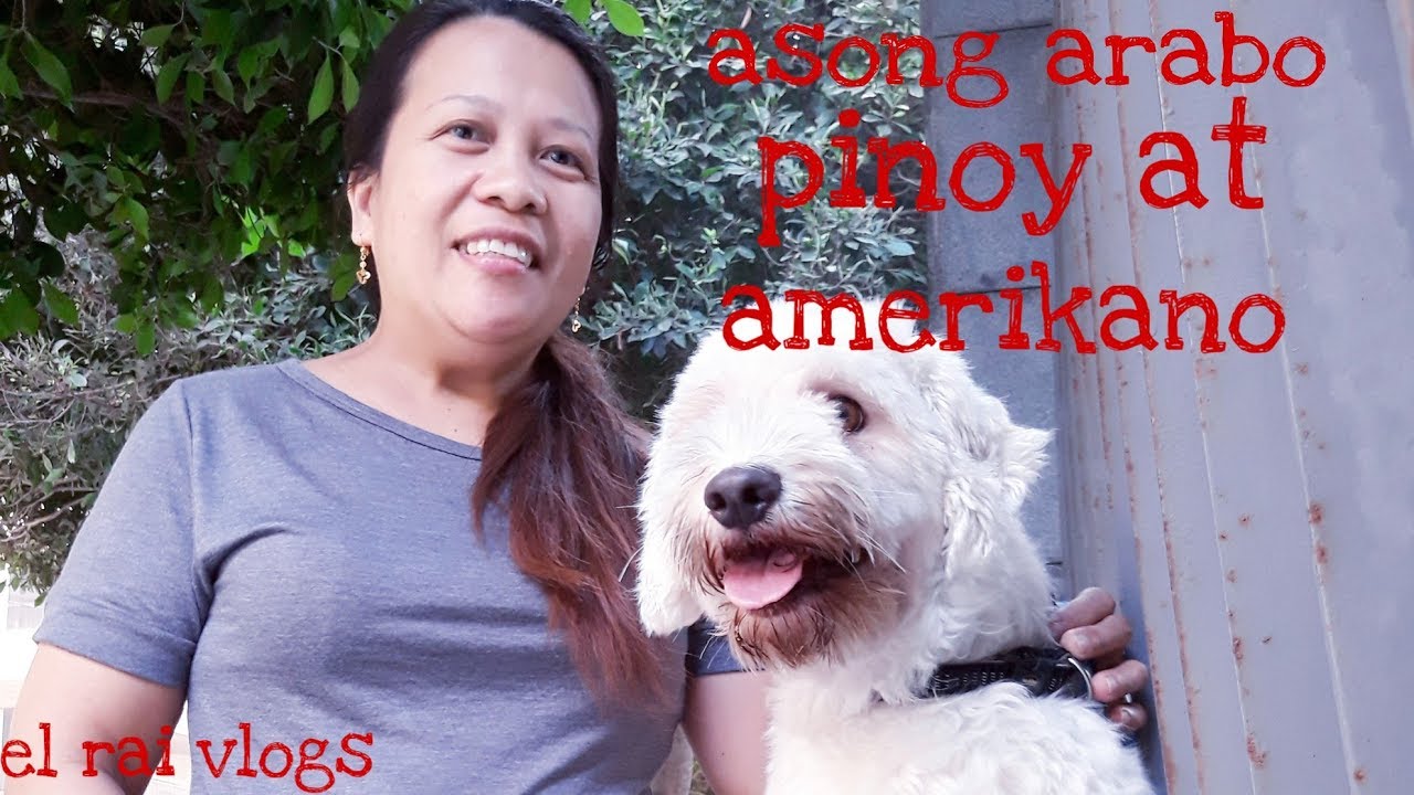 Ang asong Arabo,Pinoy at Americano - YouTube