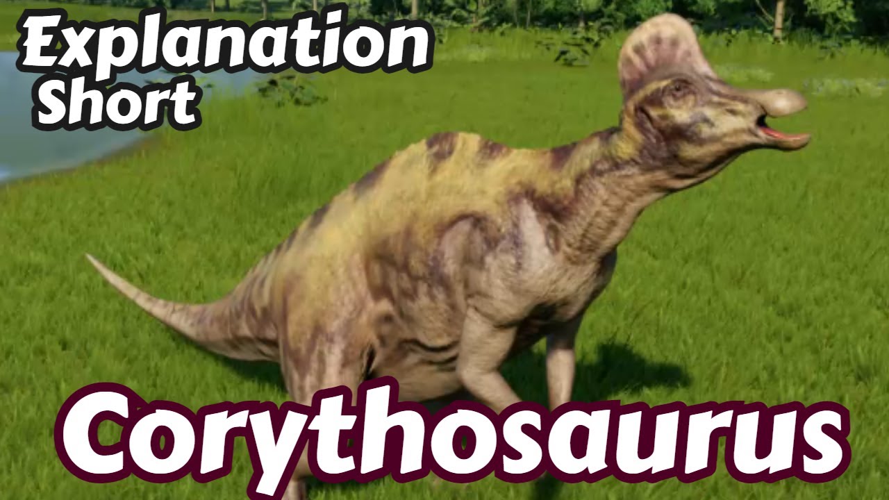 Corythosaurus 】Short Dinosaur Explanation!《:DINOchannnel English ver ...