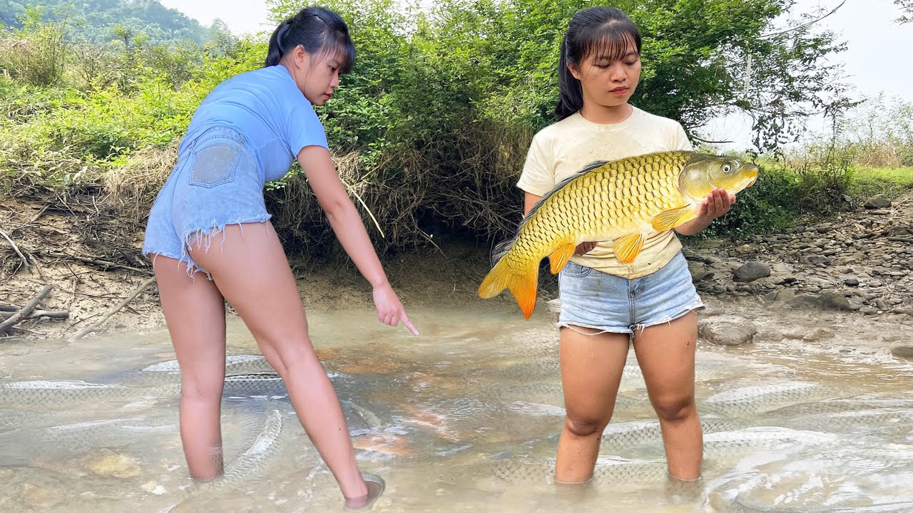 Harvesting large fish in the wild with a water suction machine ...