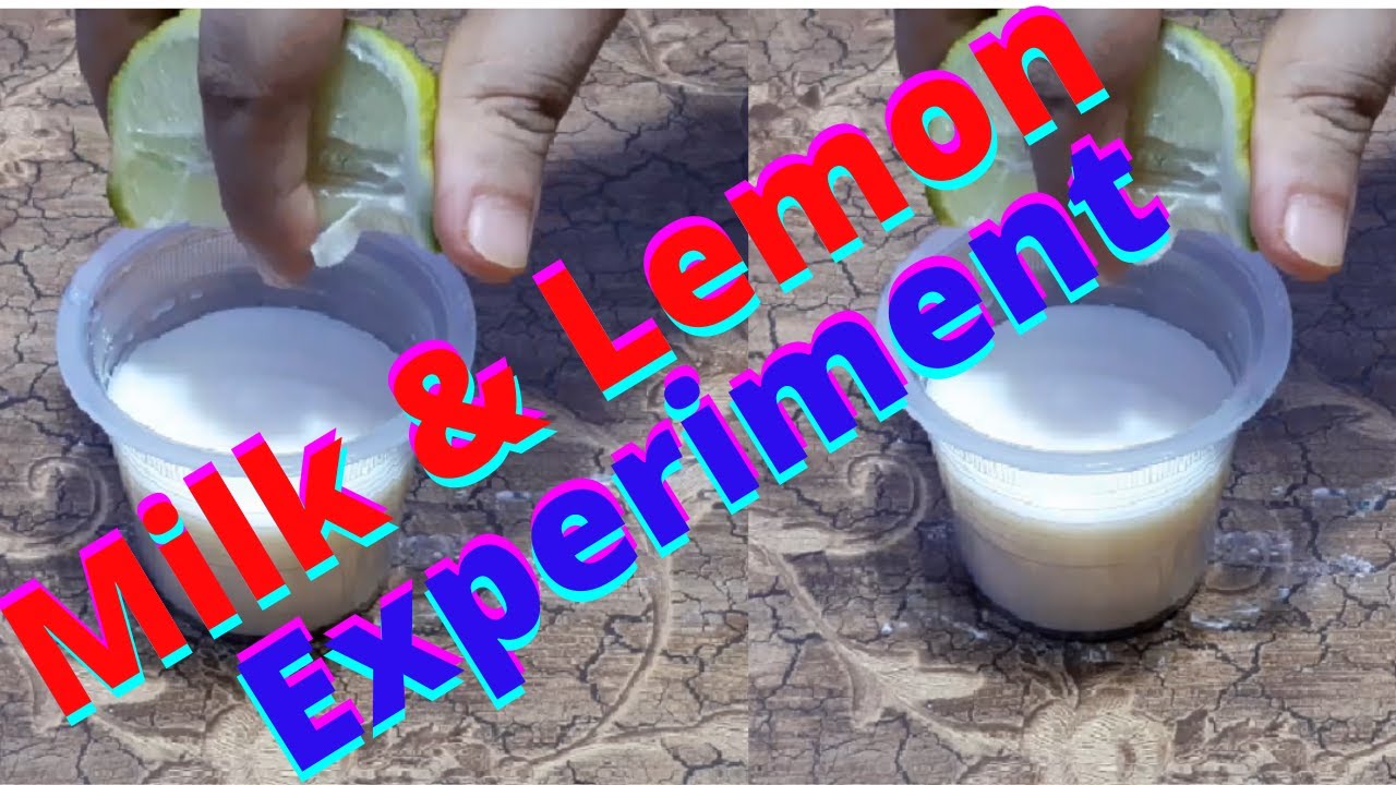 Milk & Lemon experiment #magic of science #Lemon experiment #Milk ...