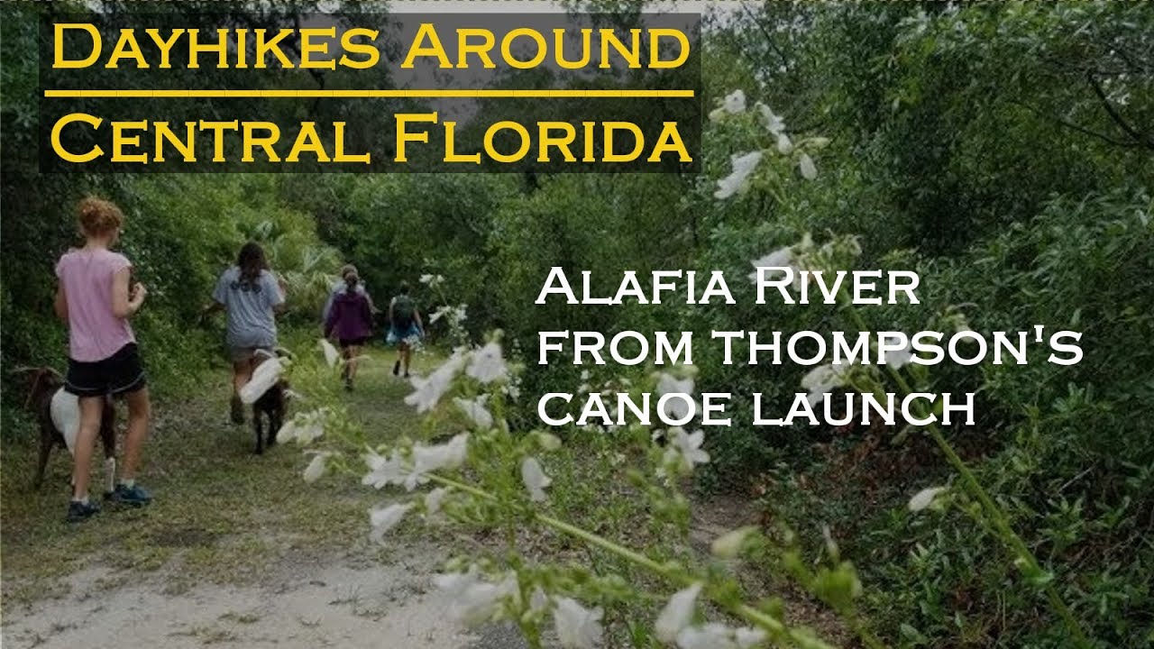 Alafia River from Thompson Rd Canoe Launch - YouTube