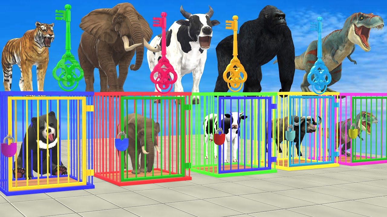 Don't Choose the Wrong Key With Elephant Cow Tiger Gorilla Escape Room ...